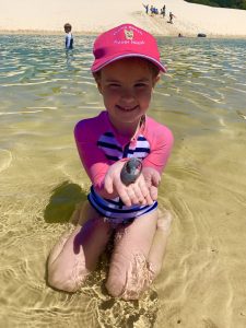 Things to See - Orchid Beach Trading Post & Driftwood Bar